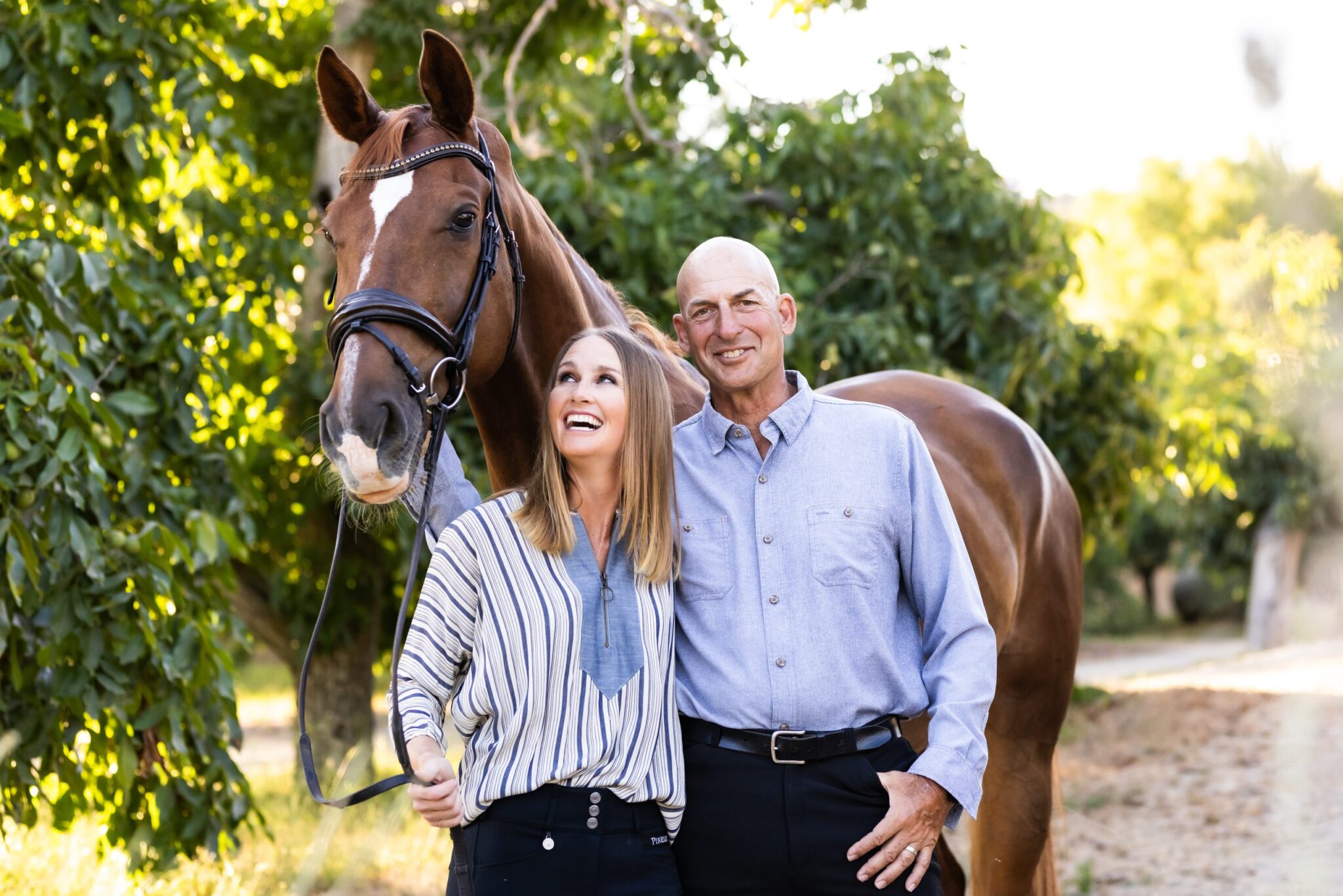 Amelia Newcomb: Bridging a Gap in the Dressage World - Sidelines Magazine
