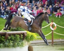 William Fox-Pitt back as Eventing world number one - Sidelines Magazine