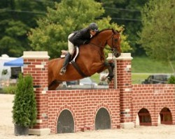 Colin Syquia and Don Pedro Triumph in $15,000 Oughton Limited NEHJA ...