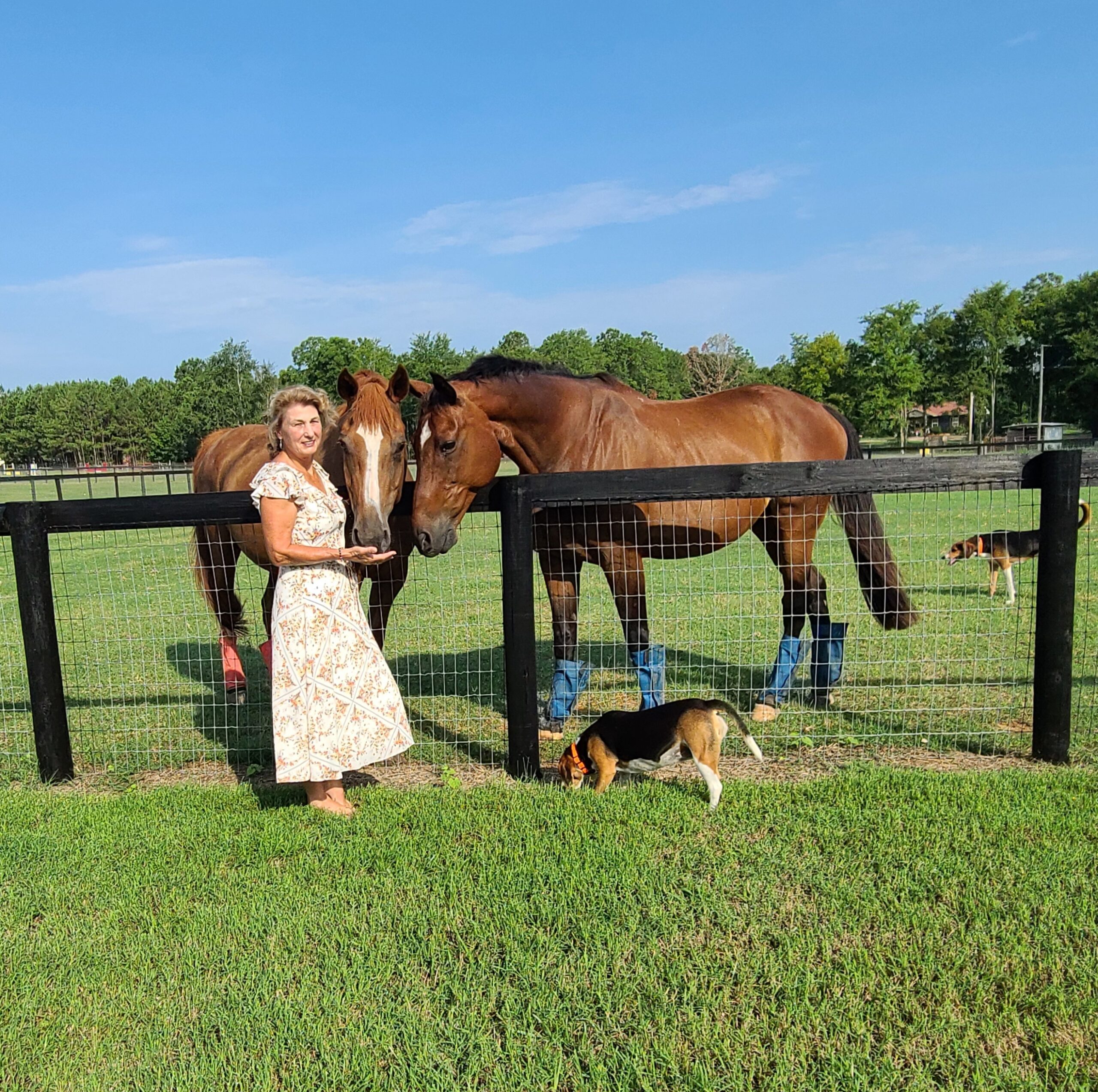 Barbara Nelson: Preserving Life and Land - Sidelines Magazine