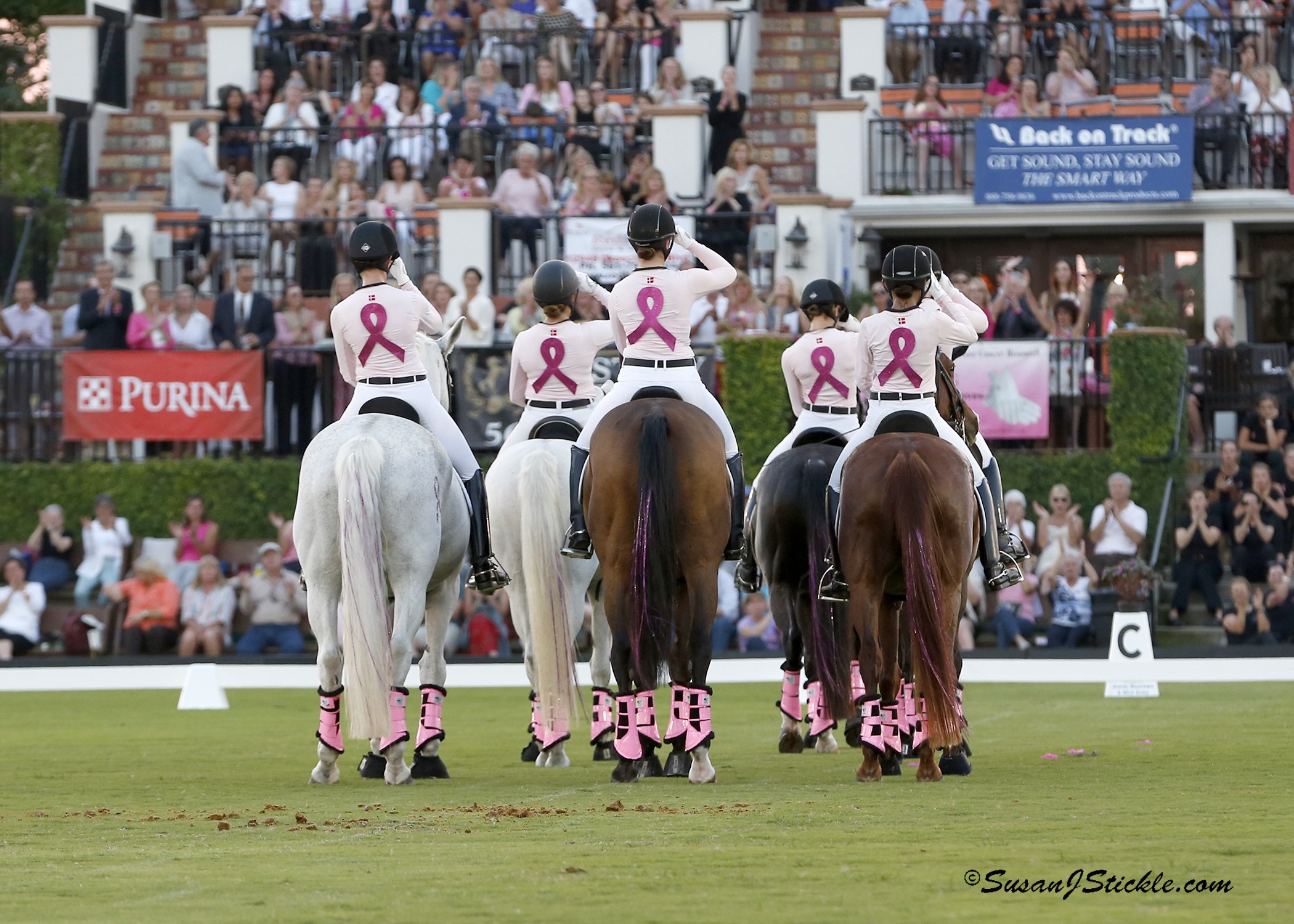 Raising Money for Breast Cancer Research One Piaffe at a Time ...