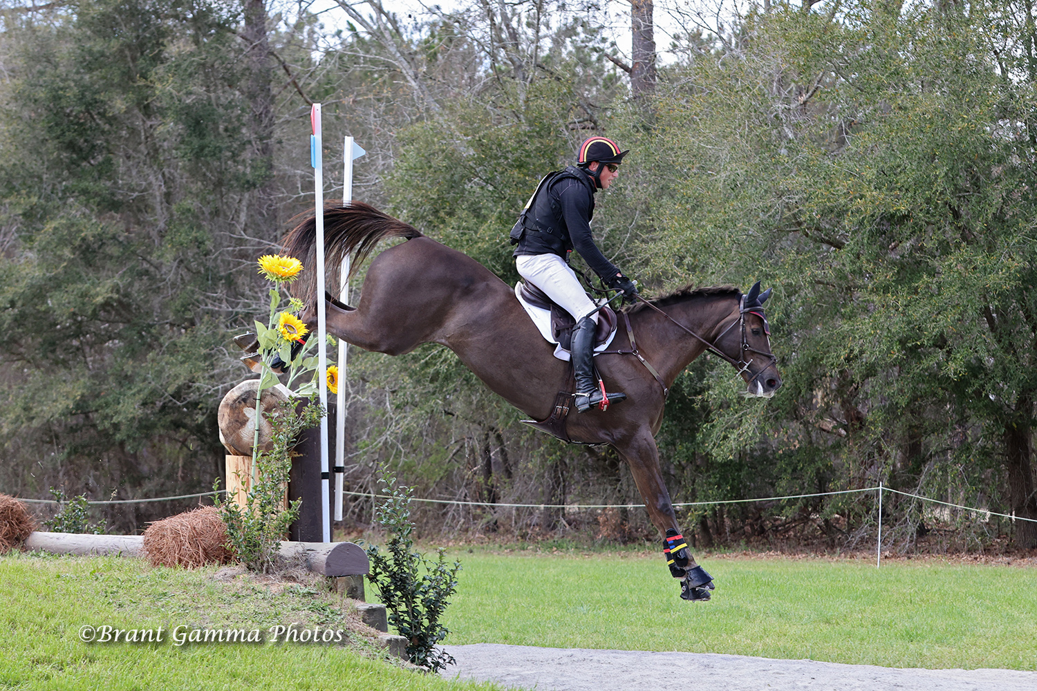 Cross Country Produces First Repeat Setters’ Run Farm CCI4*-S at the ...