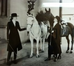 Riding In Style at the Biltmore Estate (I Rode the White Horse ...