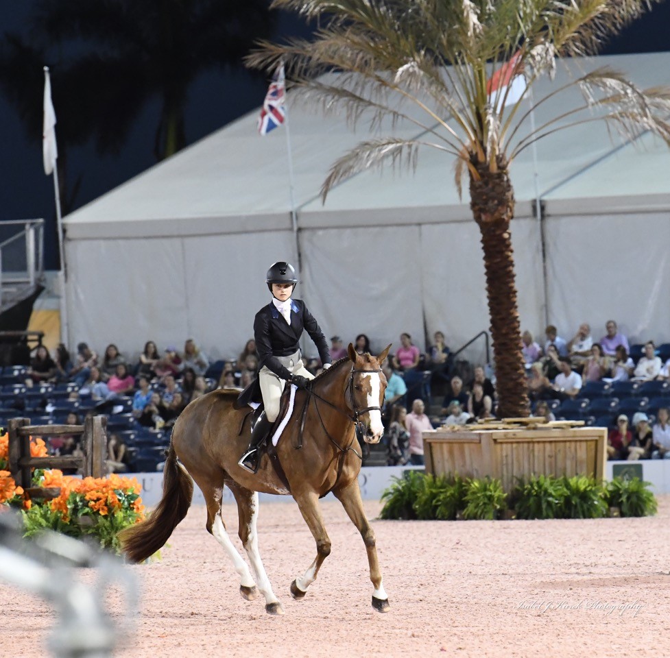 Katherine Newman: Born To Ride - Sidelines Magazine