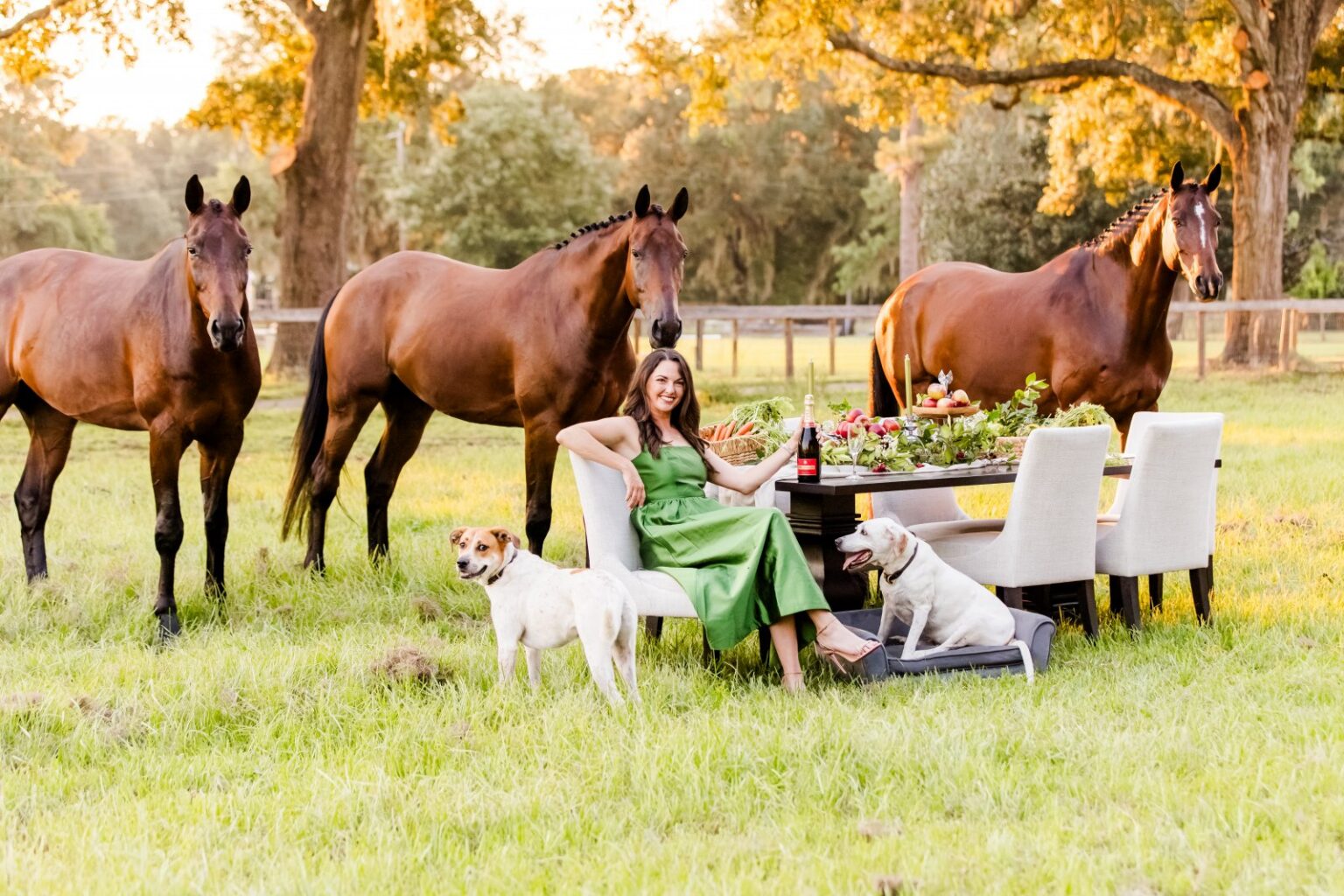 Amelia Newcomb: Bridging a Gap in the Dressage World - Sidelines Magazine